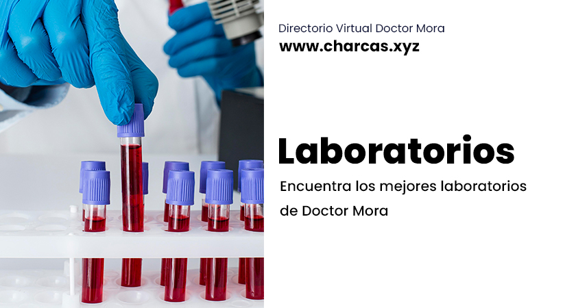 Laboratorios Doctor Mora